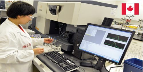 DOE Vietnam - Chuyên cung cấp thiết bị, vật liệu nha khoa cao cấp